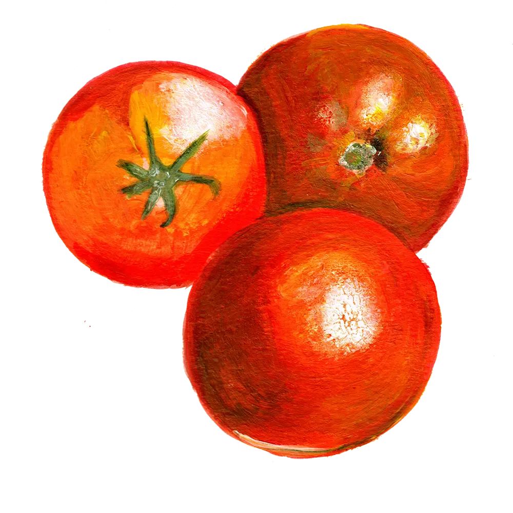 Gem State - Nordfrö - Fröer på riktigt